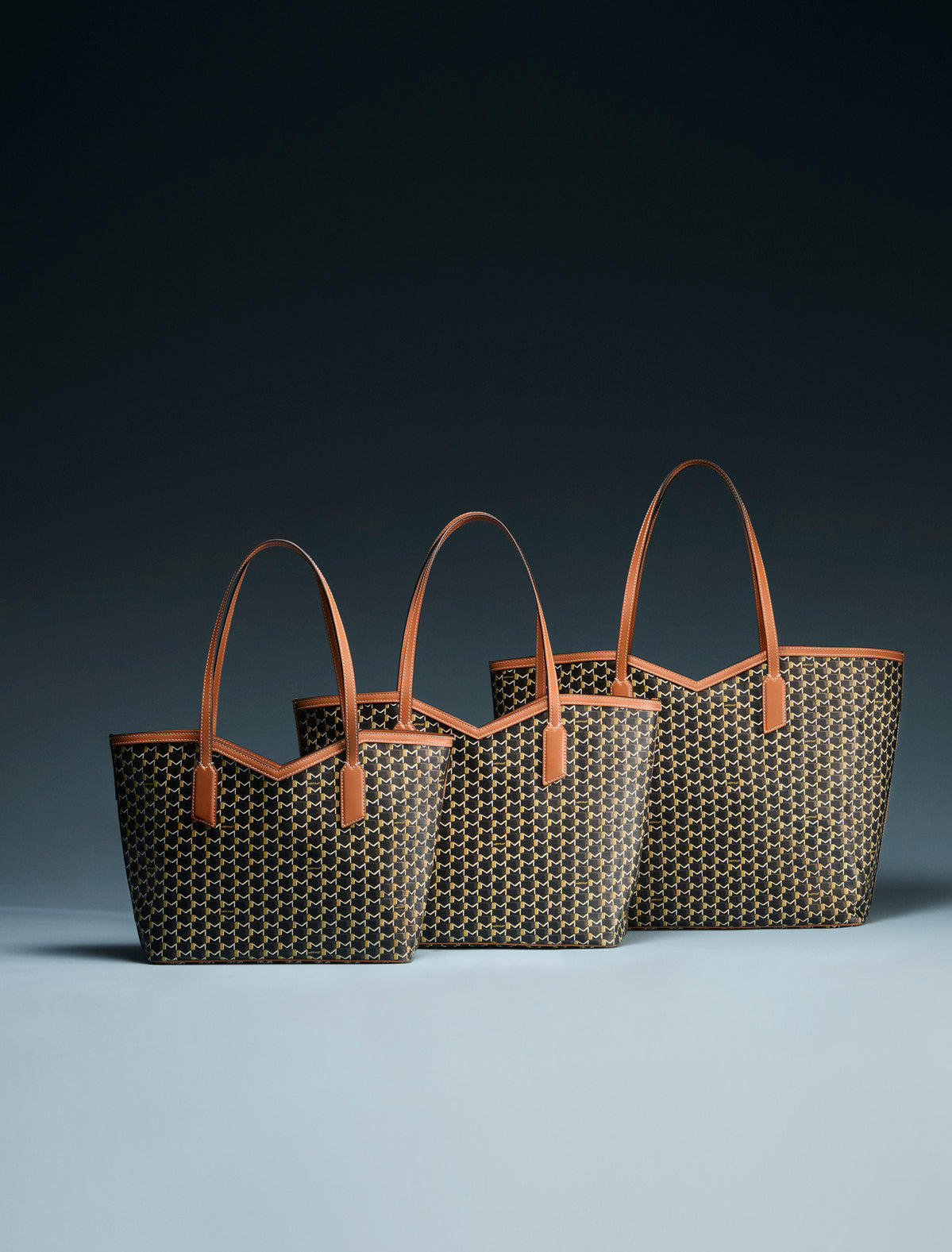 CANVAS 棕色系列 – MOYNAT PARIS