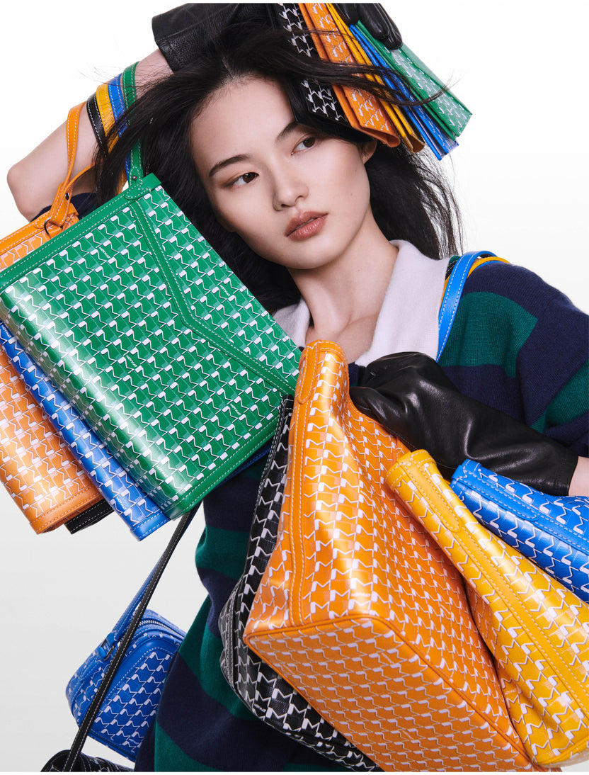 Color Canvas – MOYNAT PARIS